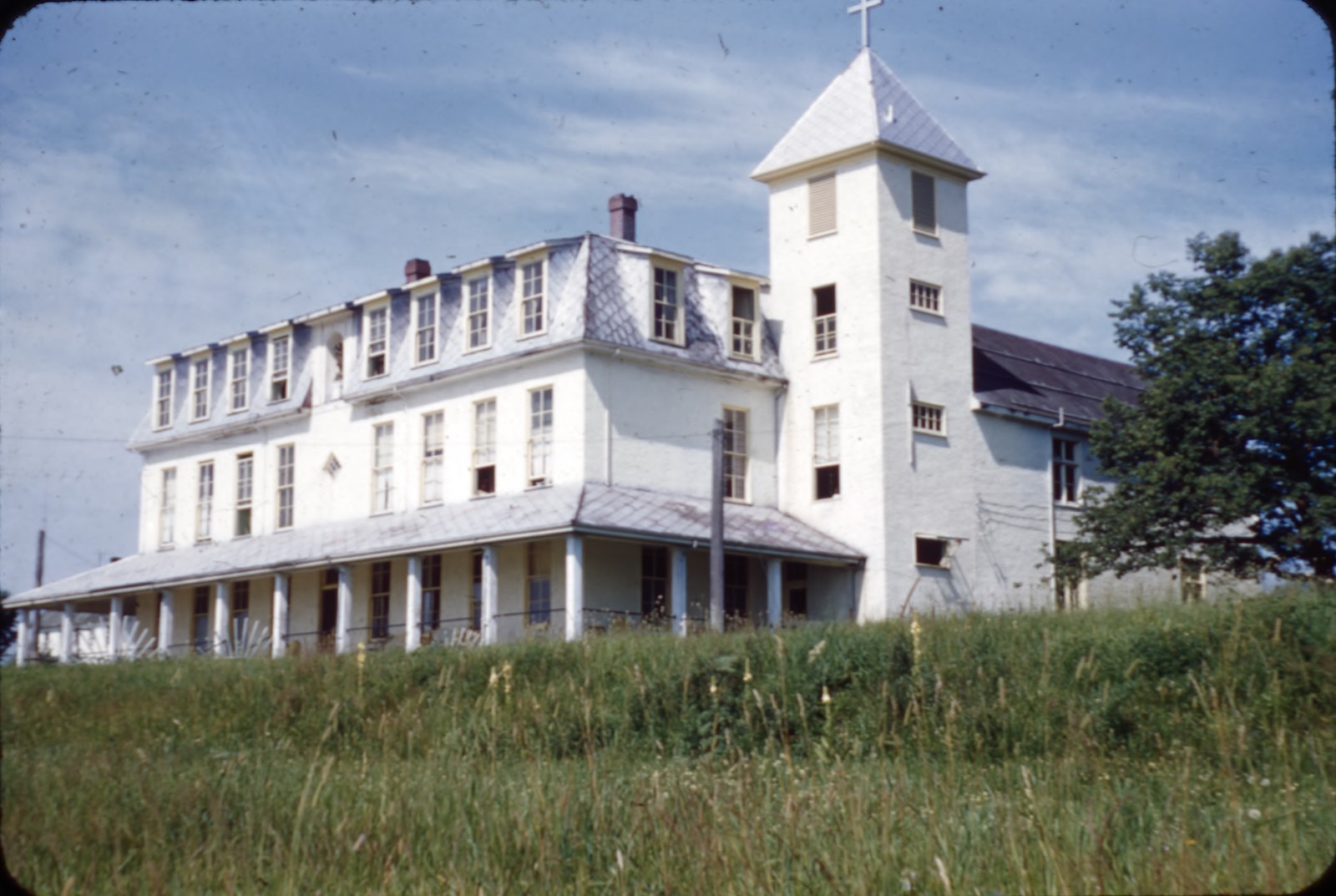 Tree branch | The Witness Blanket