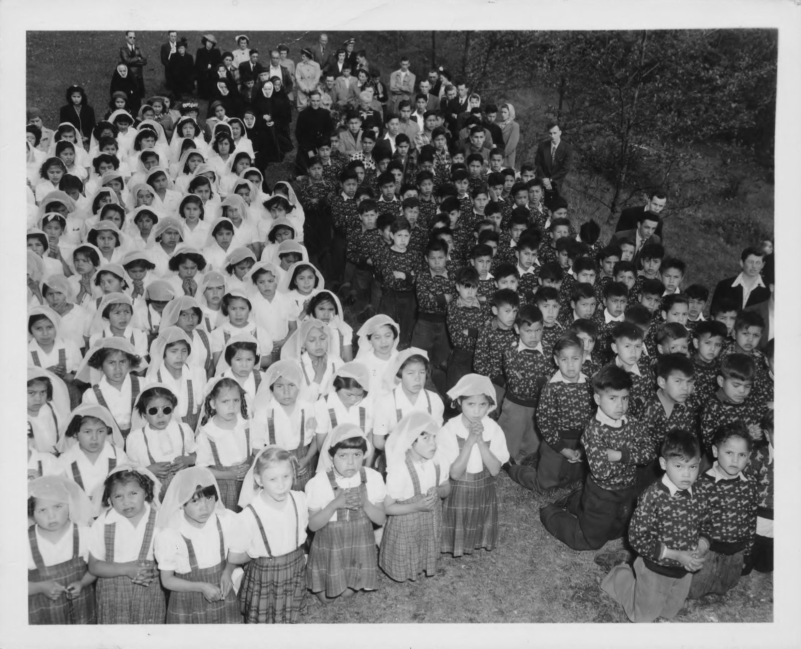 Tree branch | The Witness Blanket