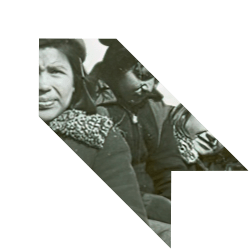 Skate | The Witness Blanket