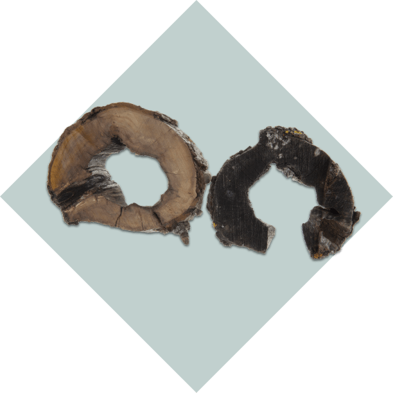 Select a story | The Witness Blanket